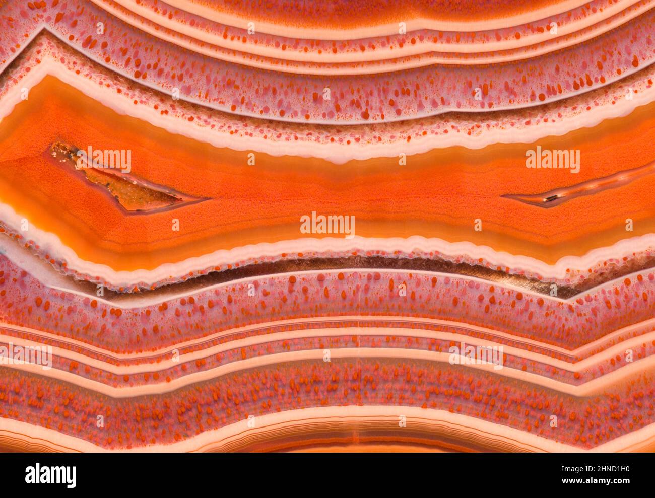 Banding patterns and structure in a sliced and polished laguna agate ...