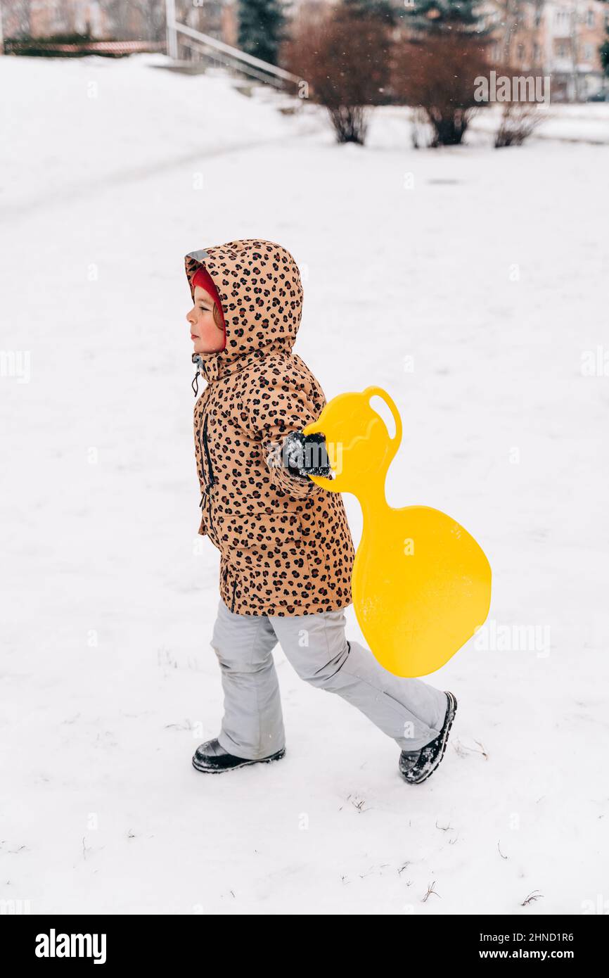 Side view of cute kid in outerwear walking and carrying sled on snowy ...