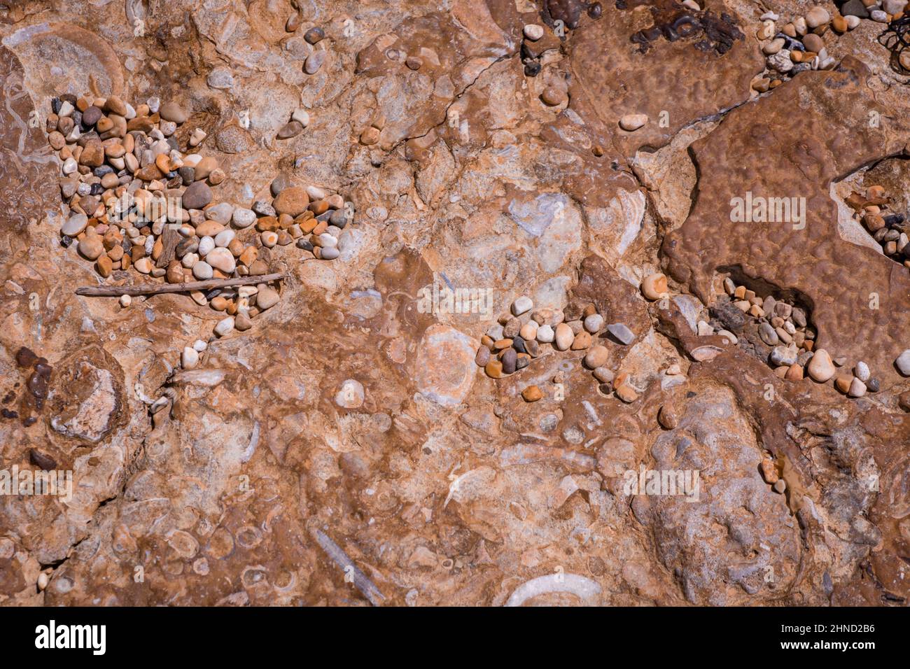 texture of Cliffs at Hive Beach, Burton Bradstock, Bridport, Dorset ...