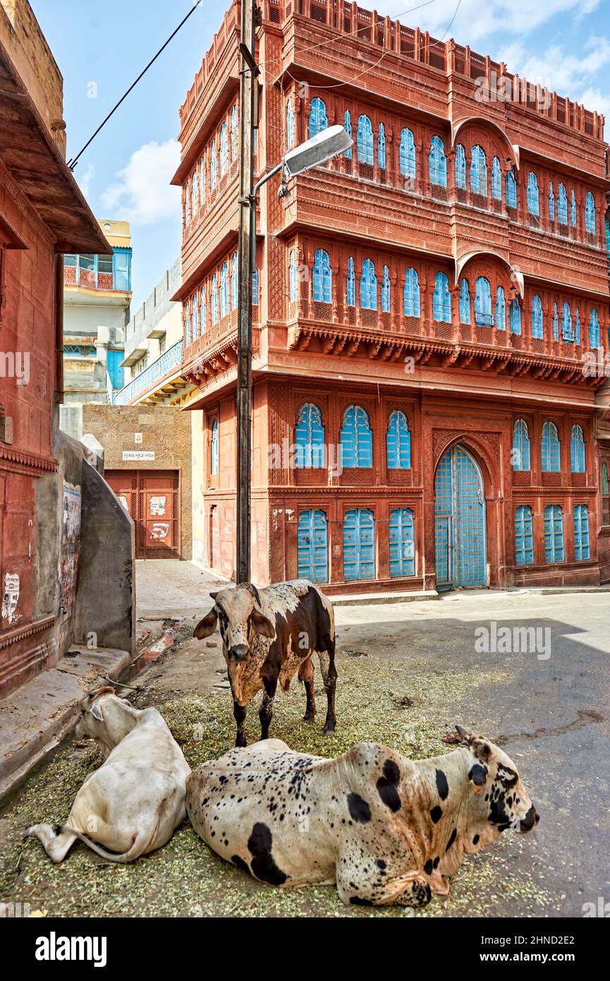 India Rajasthan. The streets of Bikaner Stock Photo - Alamy