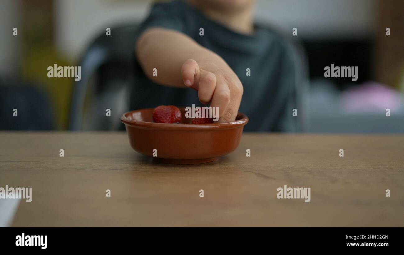Child hands grabbing blueberry from bowl healthy blueberries Stock ...