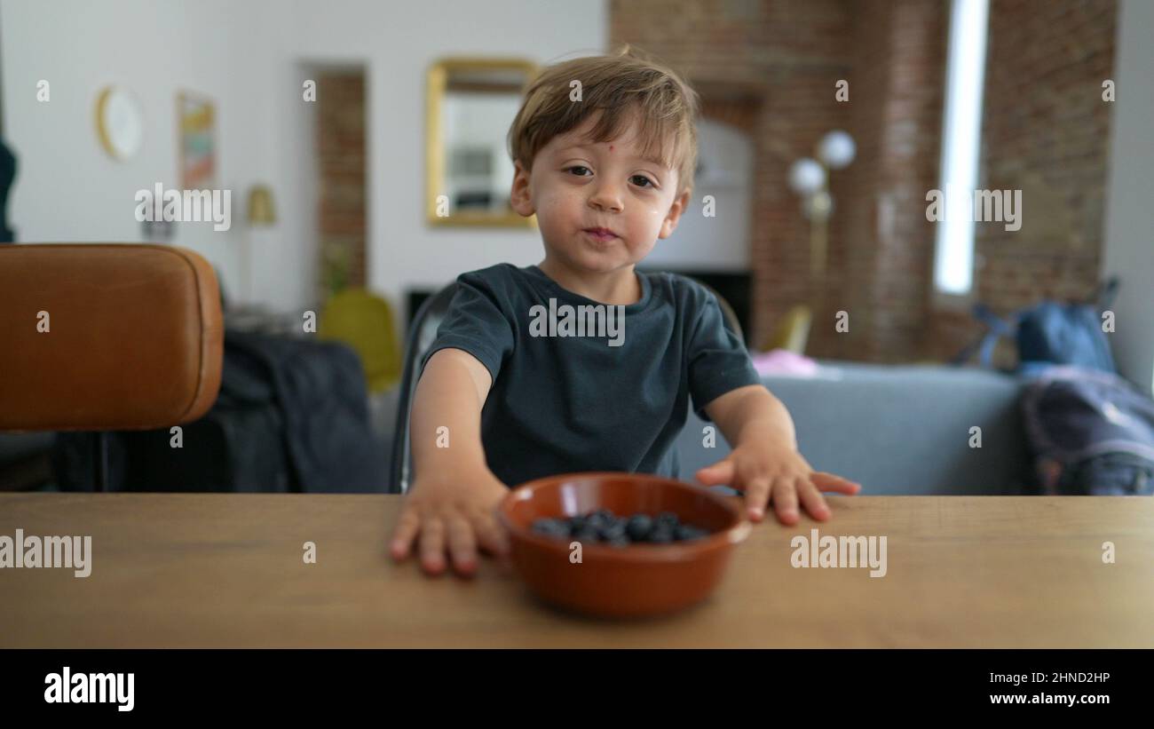 Child hands grabbing blueberry from bowl healthy blueberries Stock ...
