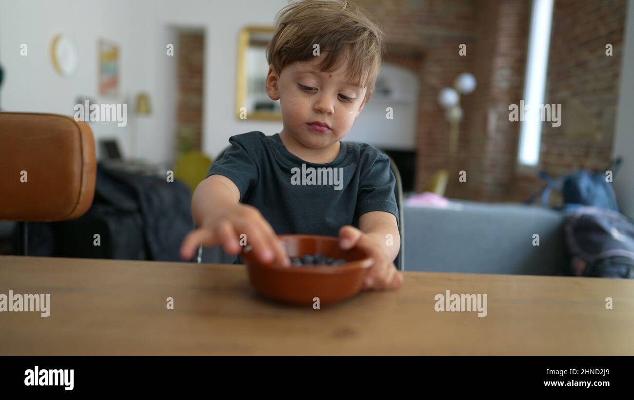 Child hands grabbing blueberry from bowl healthy blueberries Stock ...