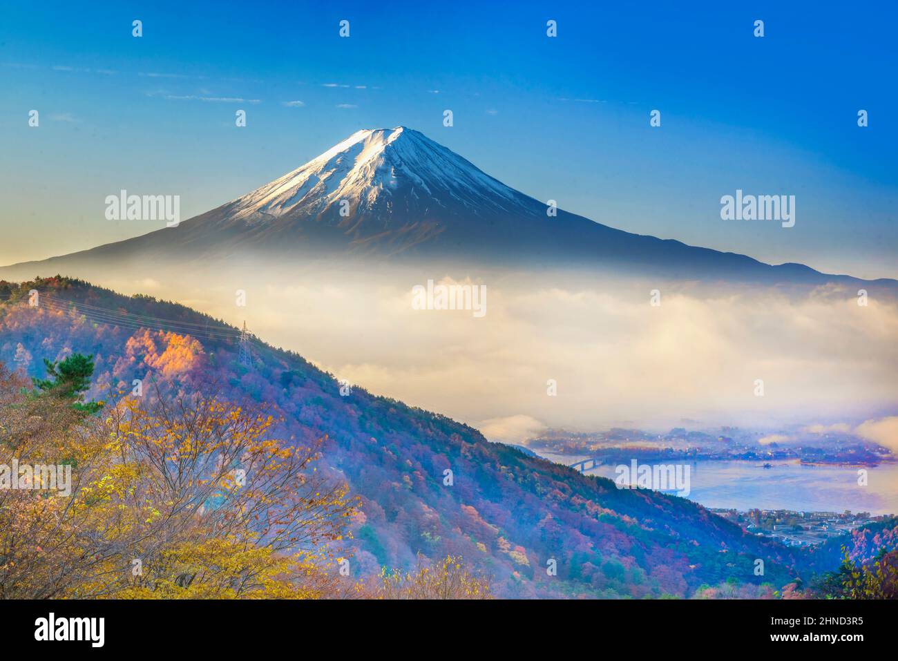 Yamanashi Mount Fuji, Sea Of Clouds And Yellow Leaves Stock Photo - Alamy