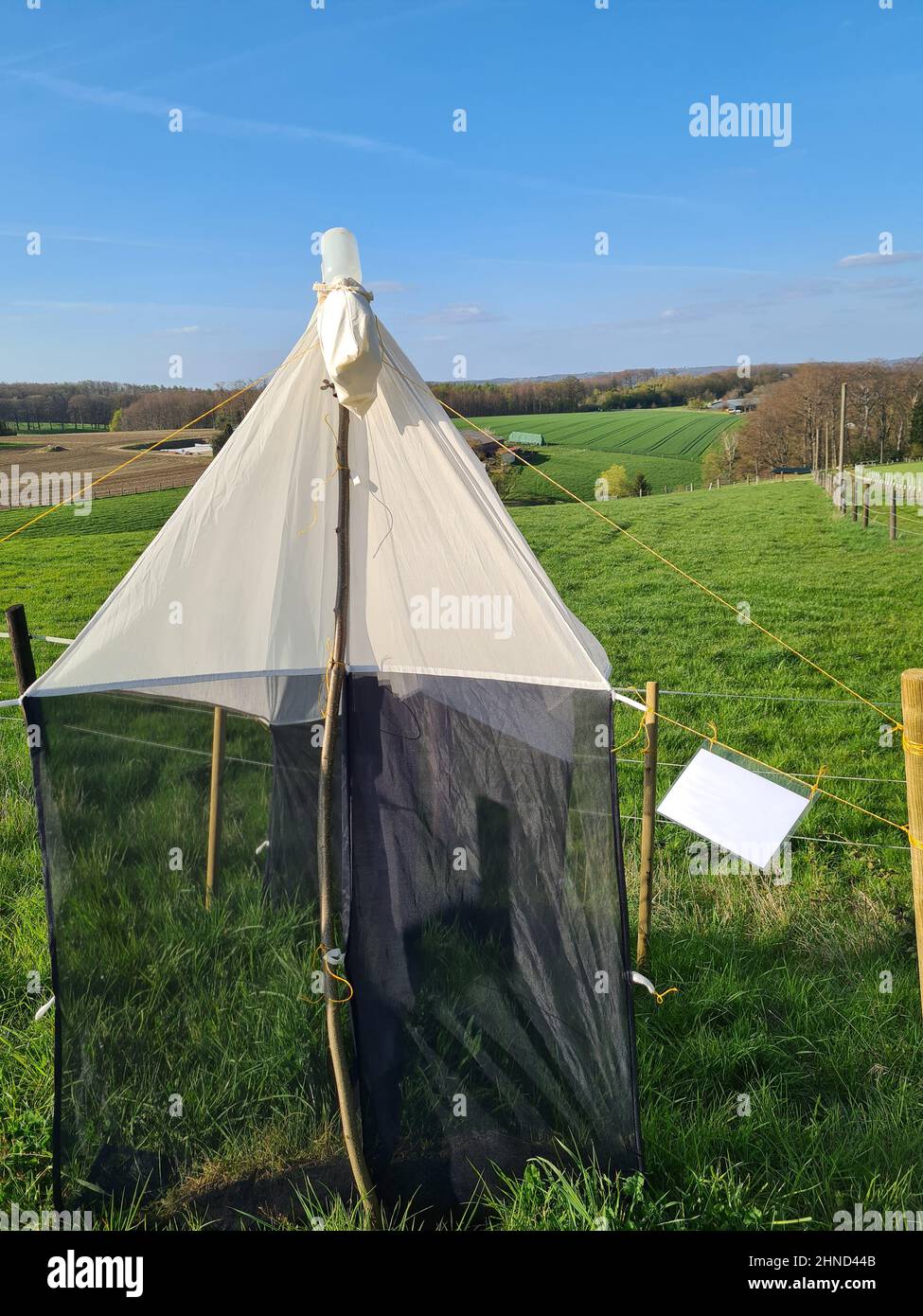 Entomologists, insect scientists who collect moths, beetles and other ...