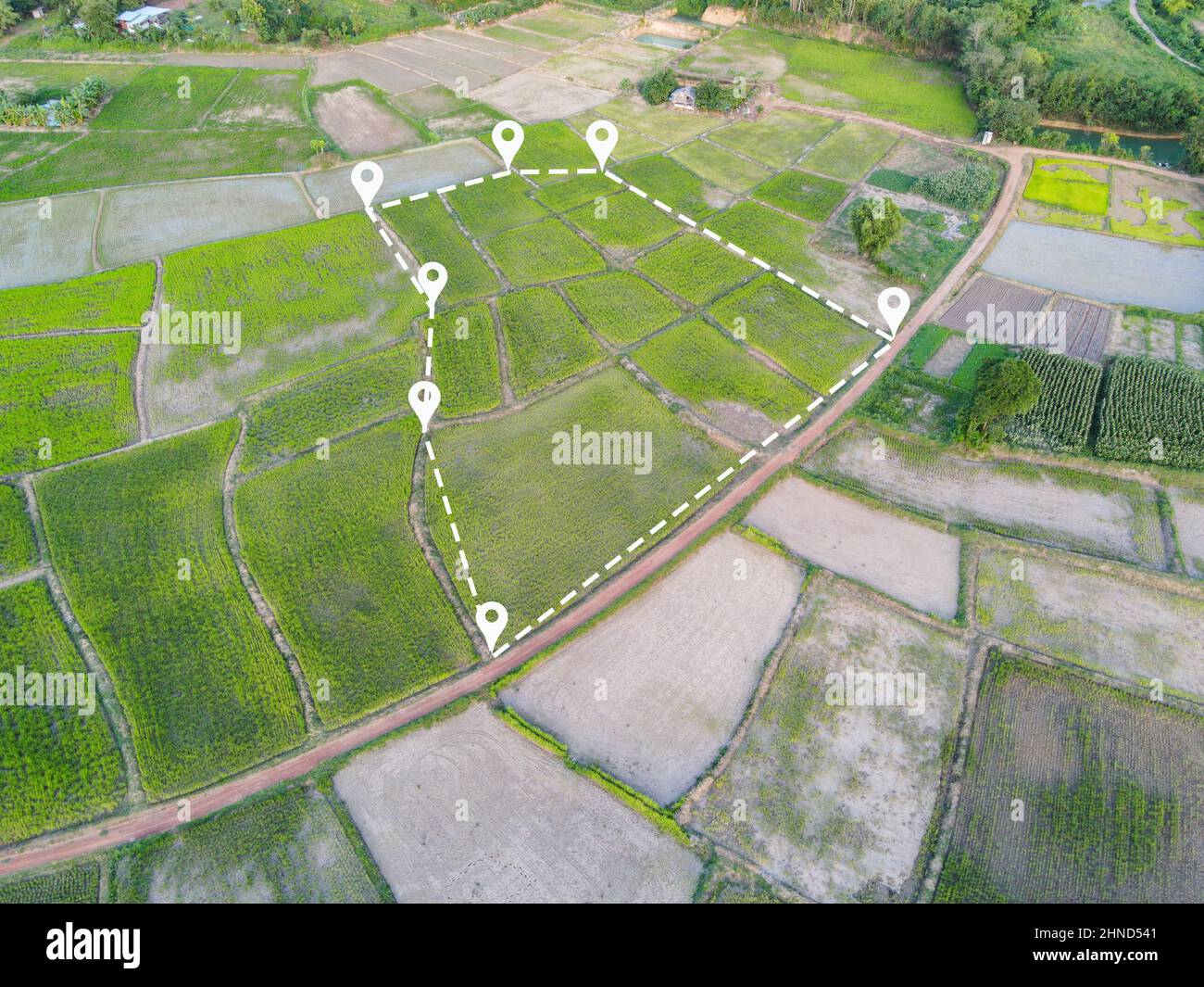 Land plot in aerial view, Top view land green field agriculture plant ...