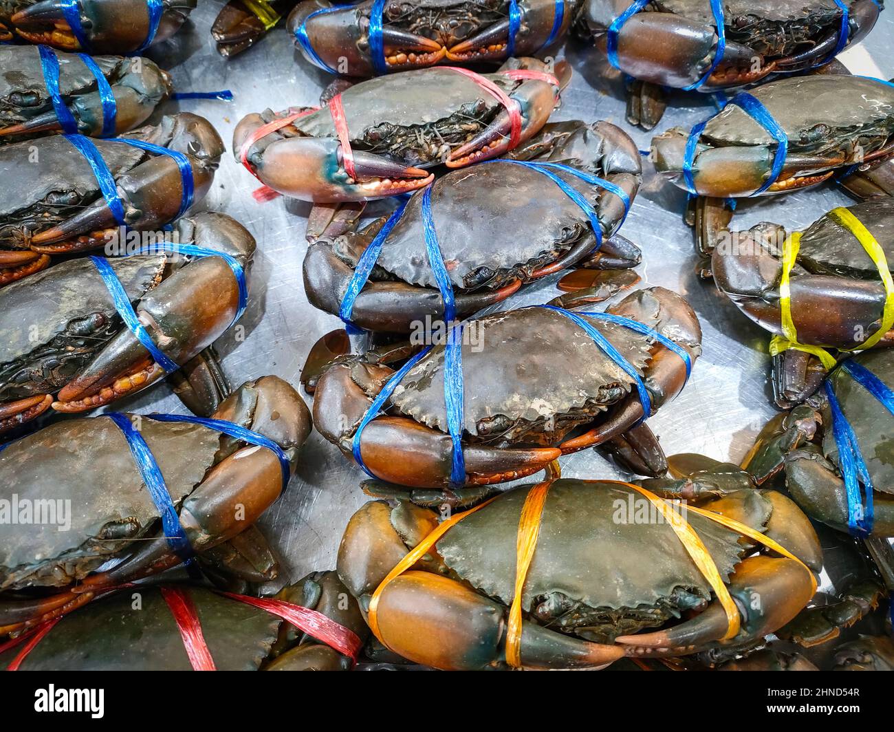 Fresh seafood crab for cooked food at restaurant or seafood market, Raw ...