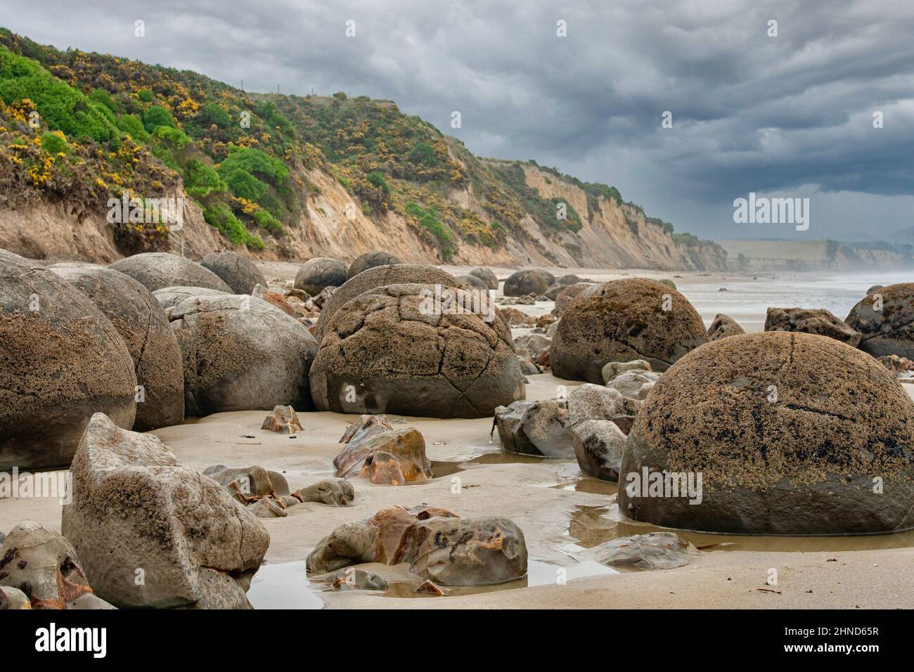 Famous Moeraki Boulders, South Island, New Zealand Stock Photo - Alamy