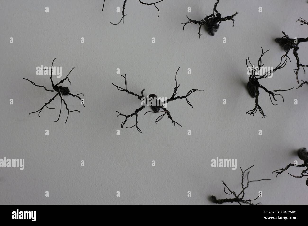 Abstract rendition of a full adult tree growing in the fields Stock ...