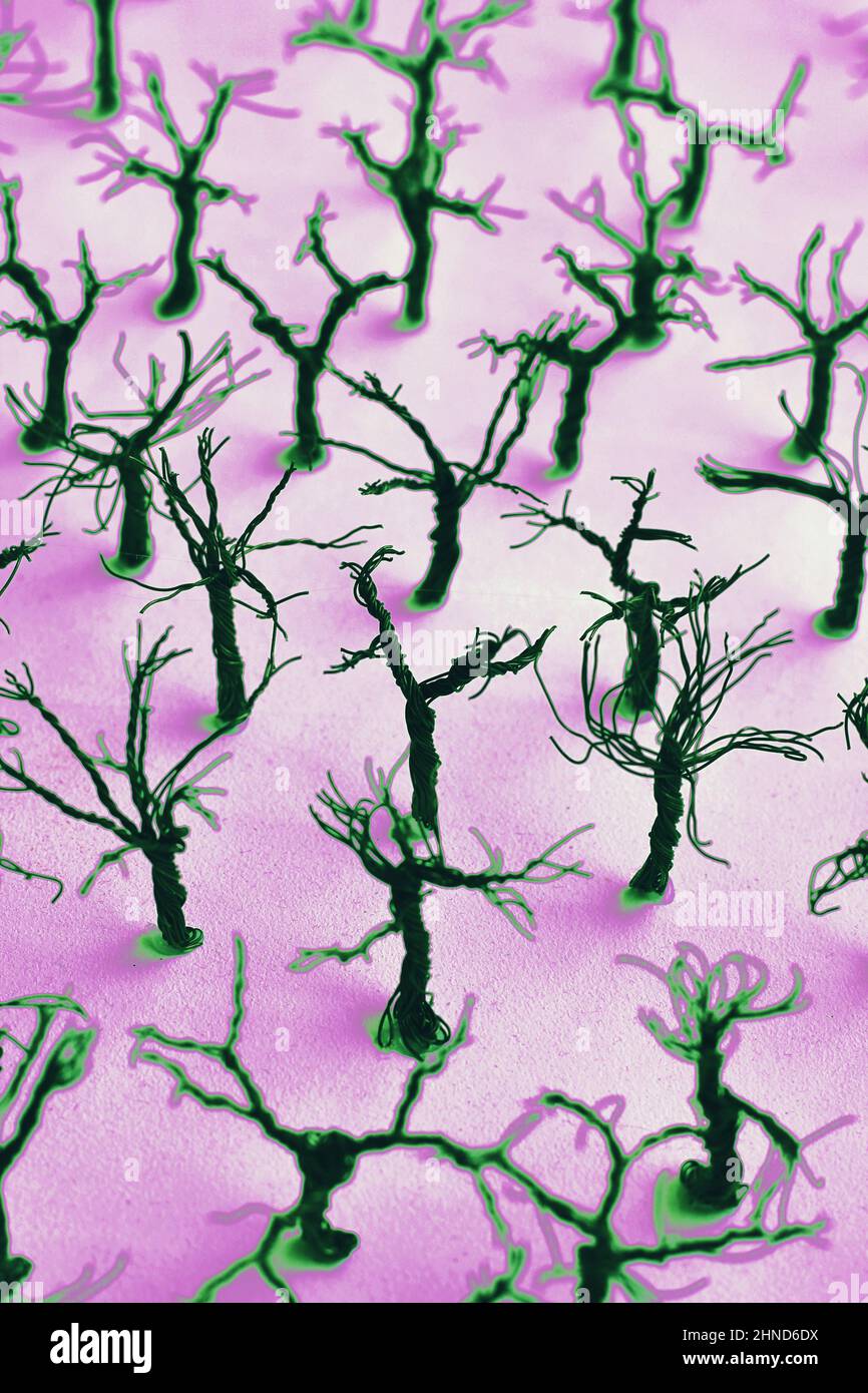Abstract rendition of a full adult tree growing in the fields Stock ...