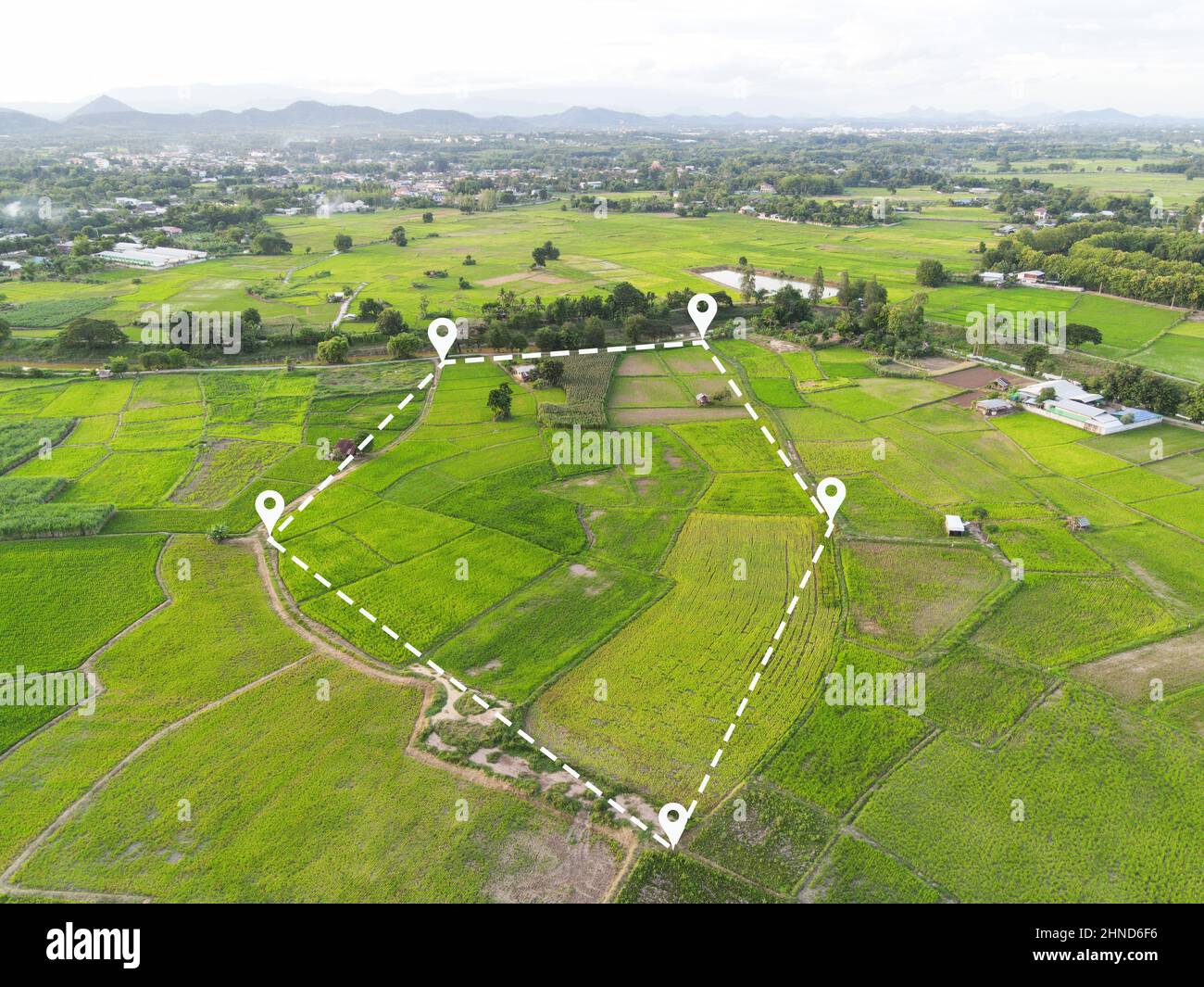 Land plot in aerial view, Top view land green field agriculture plant ...