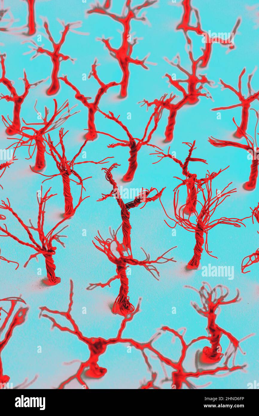 Abstract rendition of a full adult tree growing in the fields Stock ...