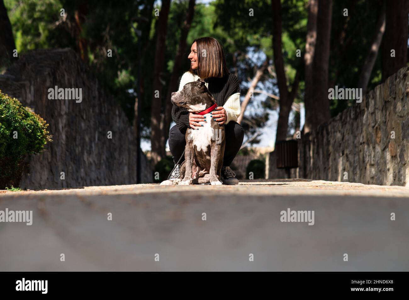 Cute and cheerful Caucasian woman in the park playing her brown dog of ...