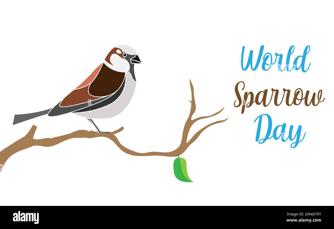 World Sparrow Day Vector illustration, poster concept, card, banner ...