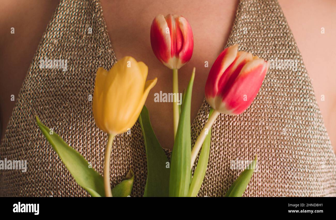 Pink and yellow spring flowers tulips on the background of the female ...