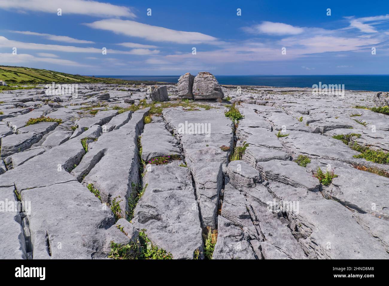 Ireland, County Clare, The Burren, Clint blocks of limestone and gryke ...