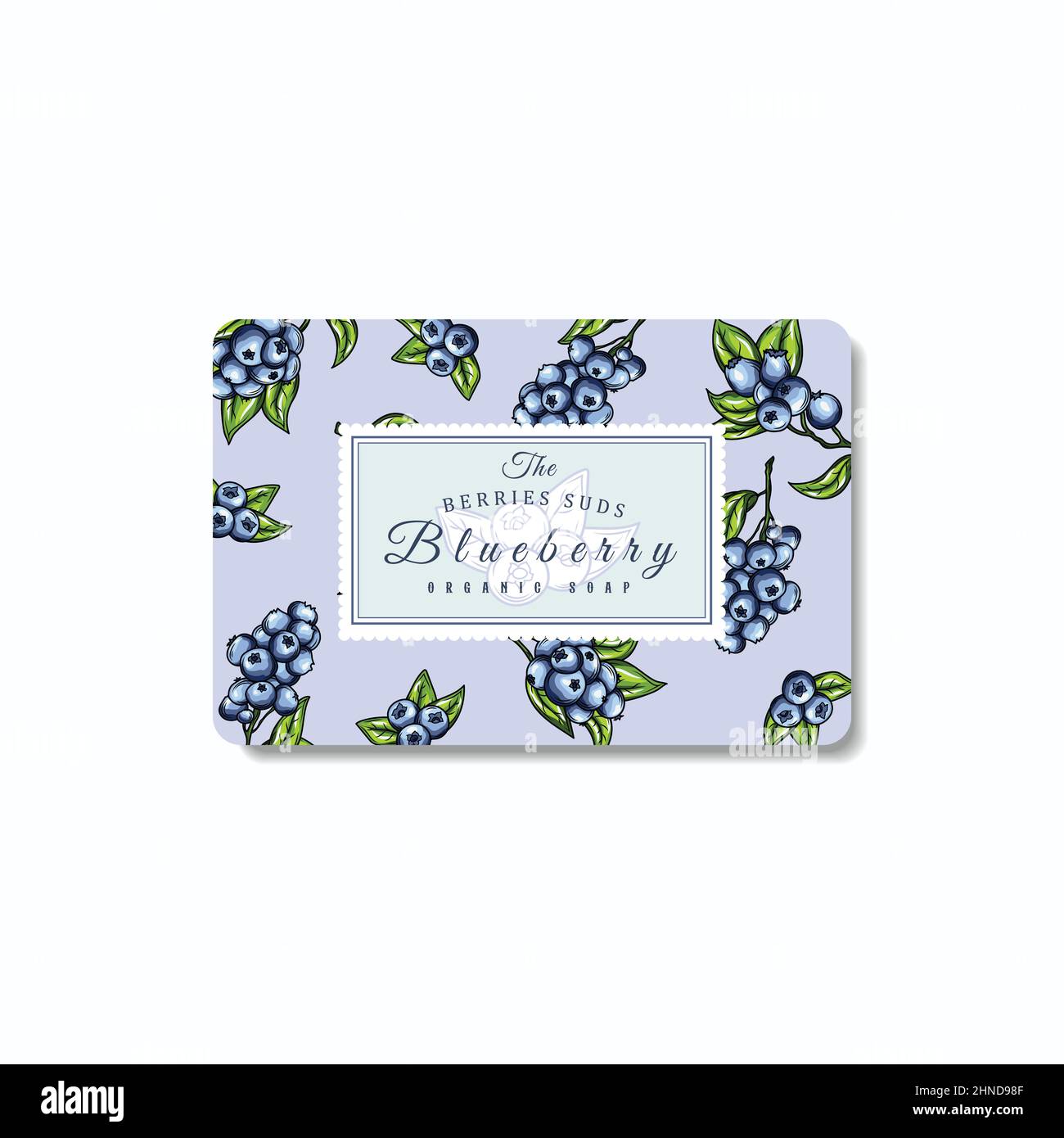 Huckleberry bilberry blueberry whortleberry Stock Vector Images - Alamy