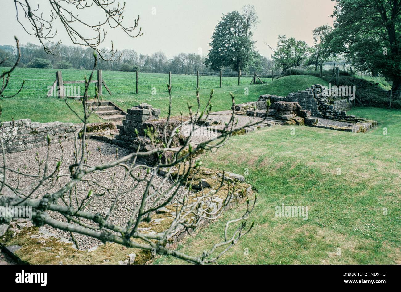 Ruins of Roman fort Y Gaer, situated near Brecon, Wales, United Kingdom ...