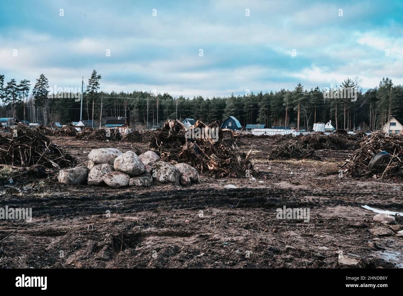 construction area with puddles and mud along the forest with piles of ...