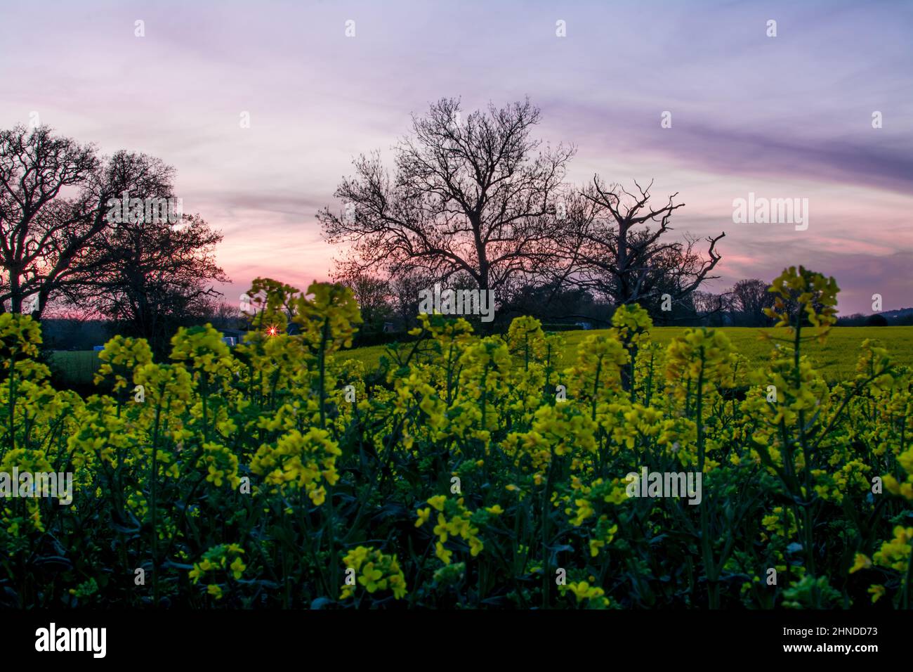 beautiful natural spring background Stock Photo - Alamy