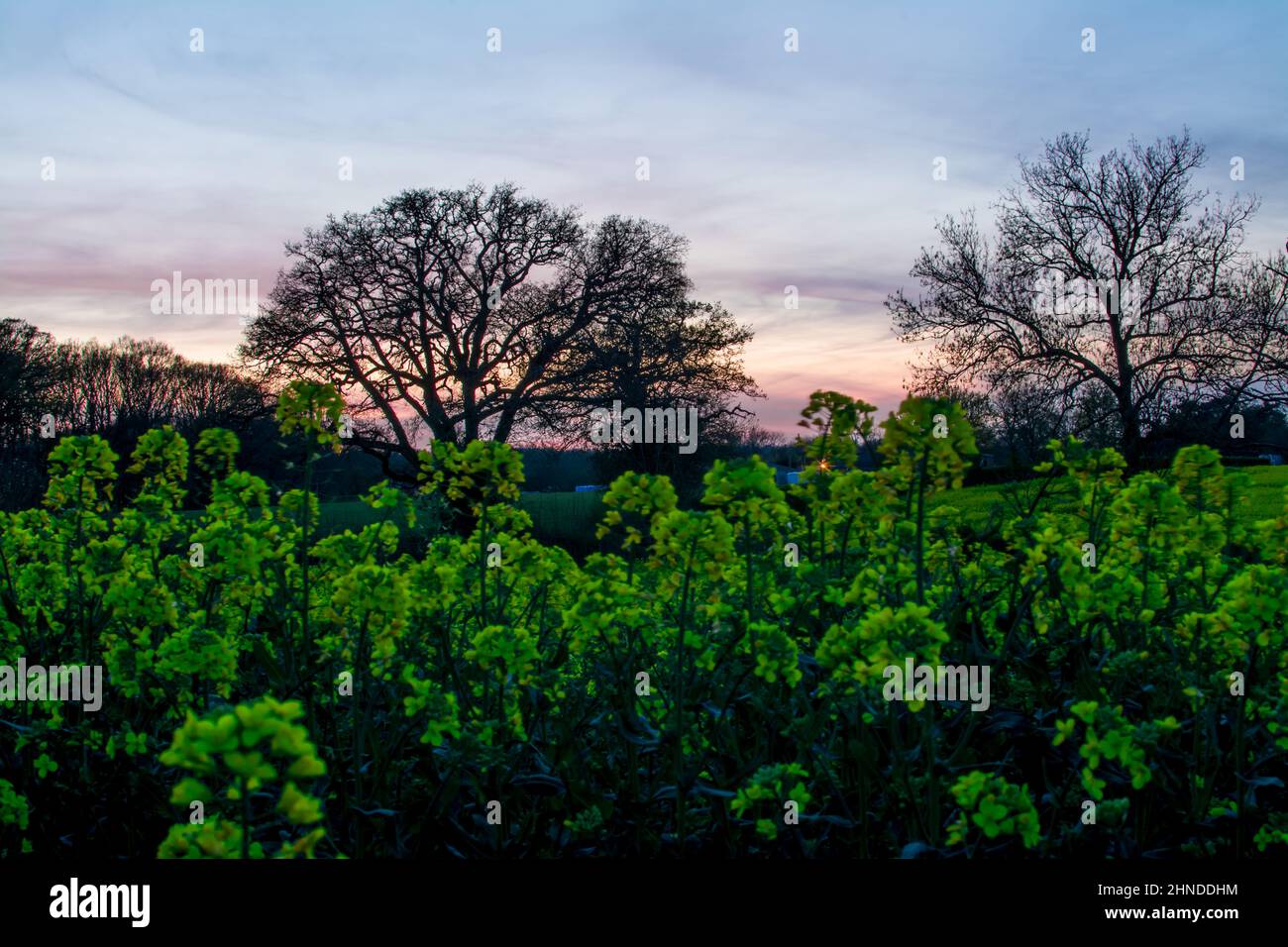 beautiful natural spring background Stock Photo - Alamy