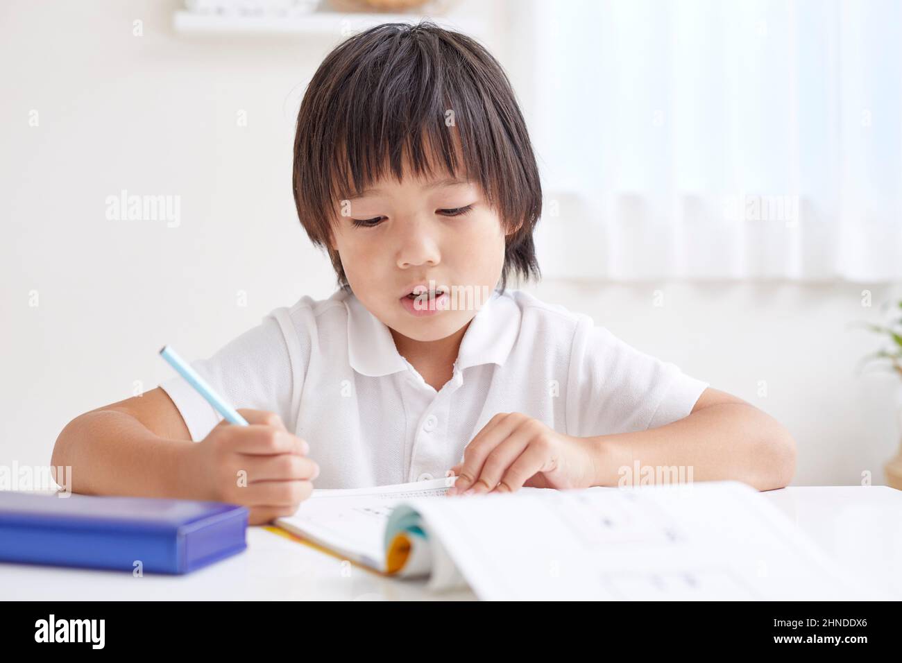 Japanese Elementary School Boy Doing His Homework Stock Photo - Alamy