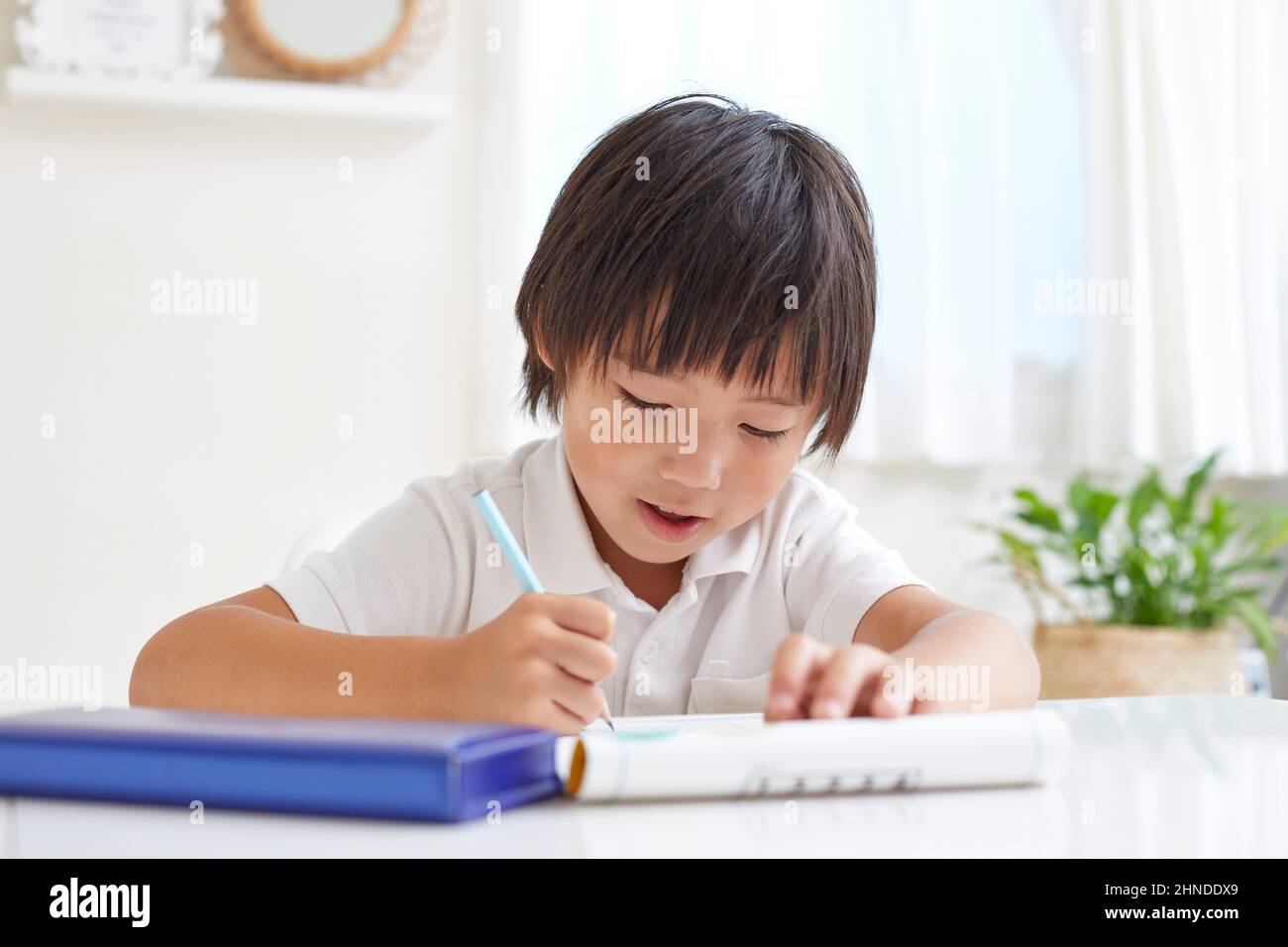 Japanese Elementary School Boy Doing His Homework Stock Photo - Alamy