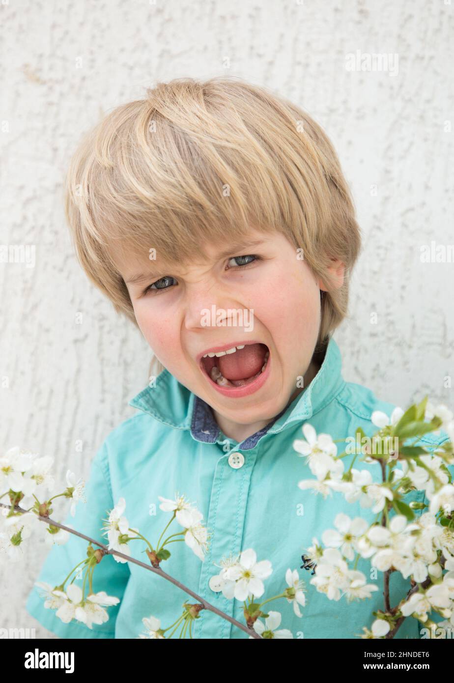 portrait of an emotional angry screaming boy 5 years old. Strong ...