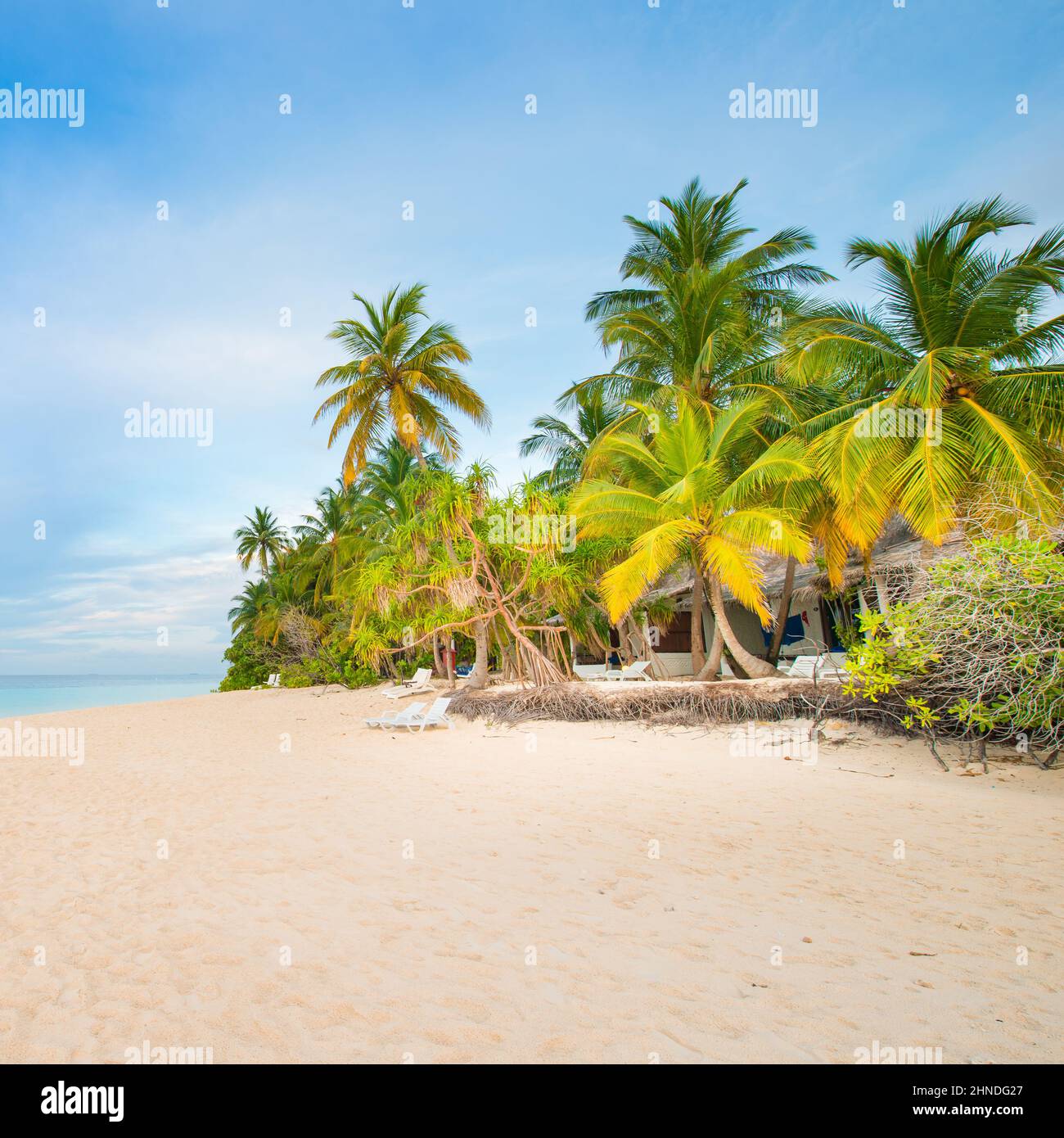 Palm tree relax relaxed rest rest hi-res stock photography and images ...