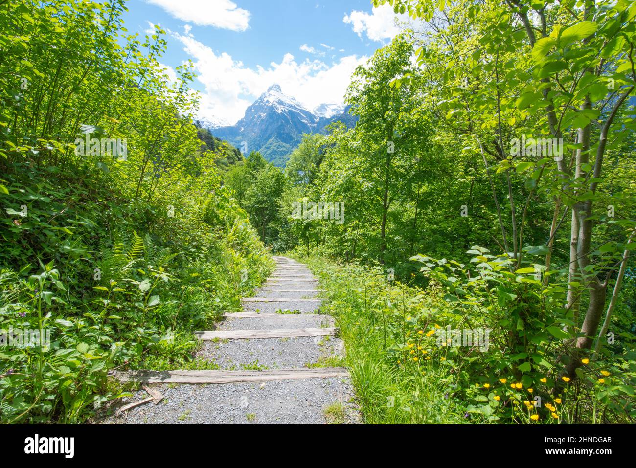 Summer road trip. Walk in the Alps. A staircase leads along the path ...