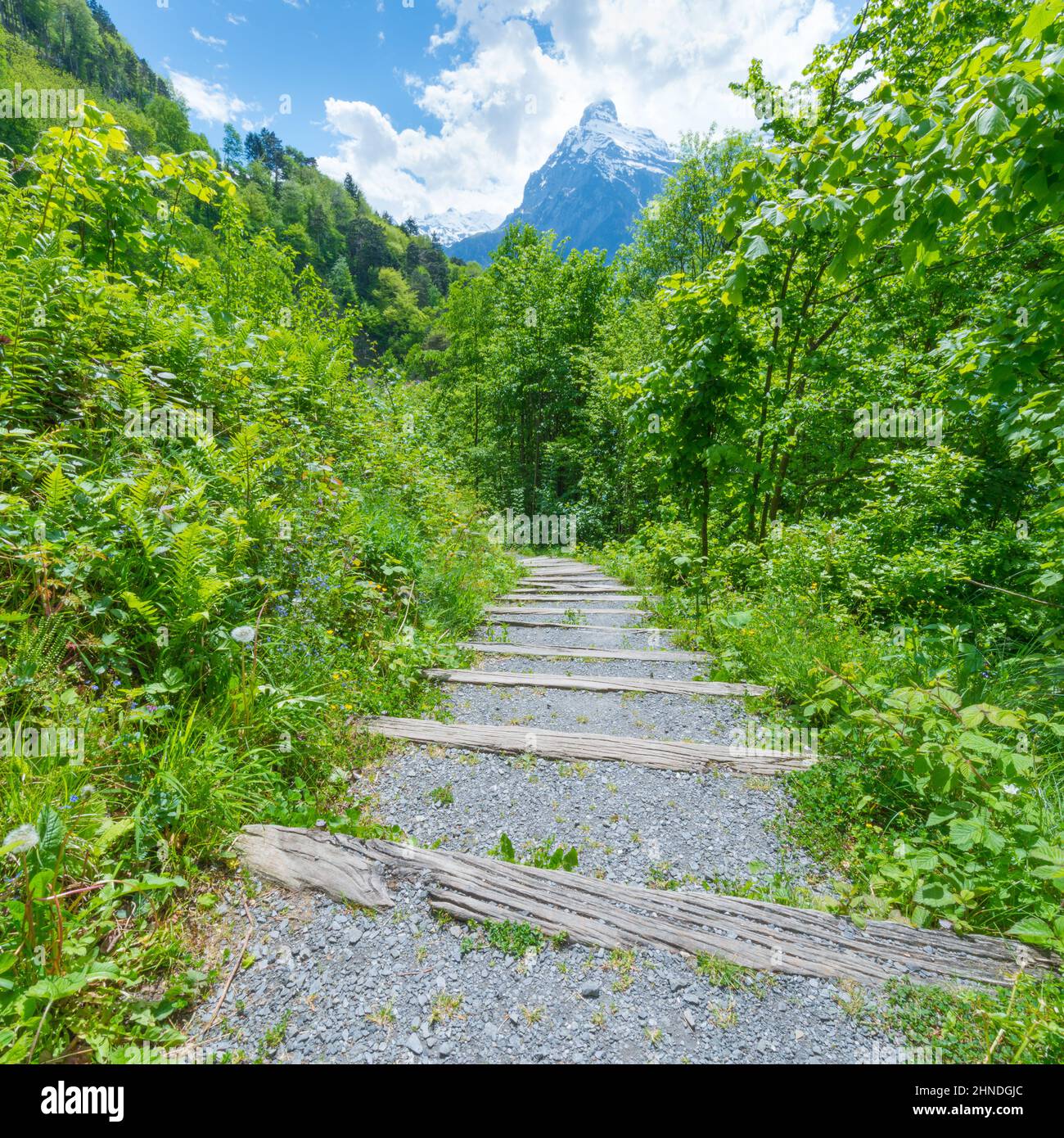 Summer road trip. Walk in the Alps. A staircase leads along the path ...
