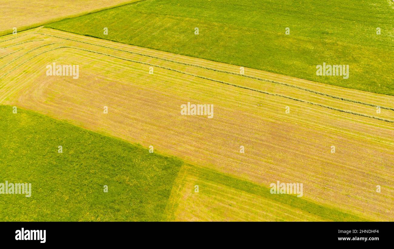 Natural background. Aerial view. Mowed grass and grass field with wild ...