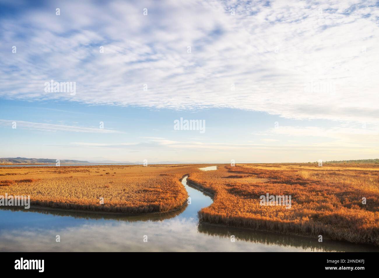 Panoramic view from Divjaka - Karavasta National Park in Albania Stock ...