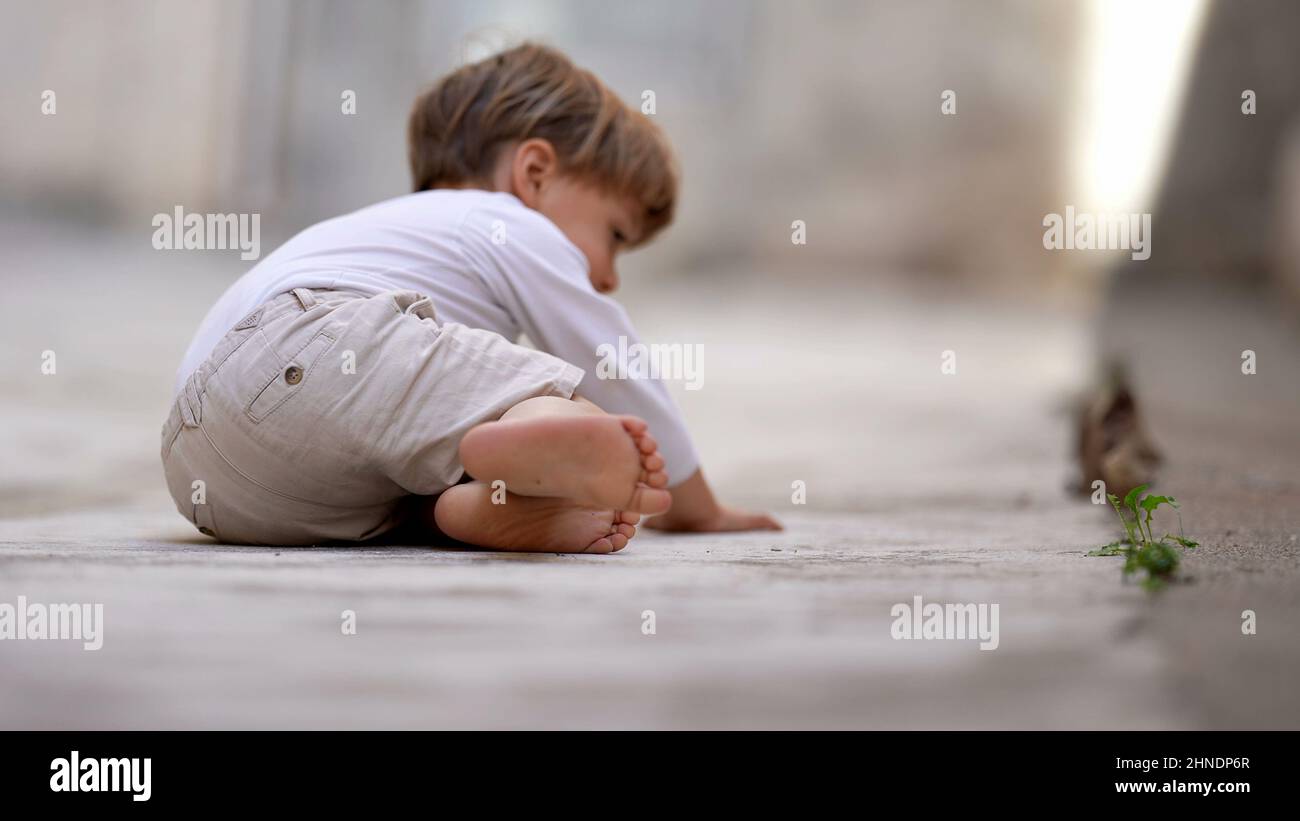 Little boy falling on the ground and getting up child stands up Stock ...