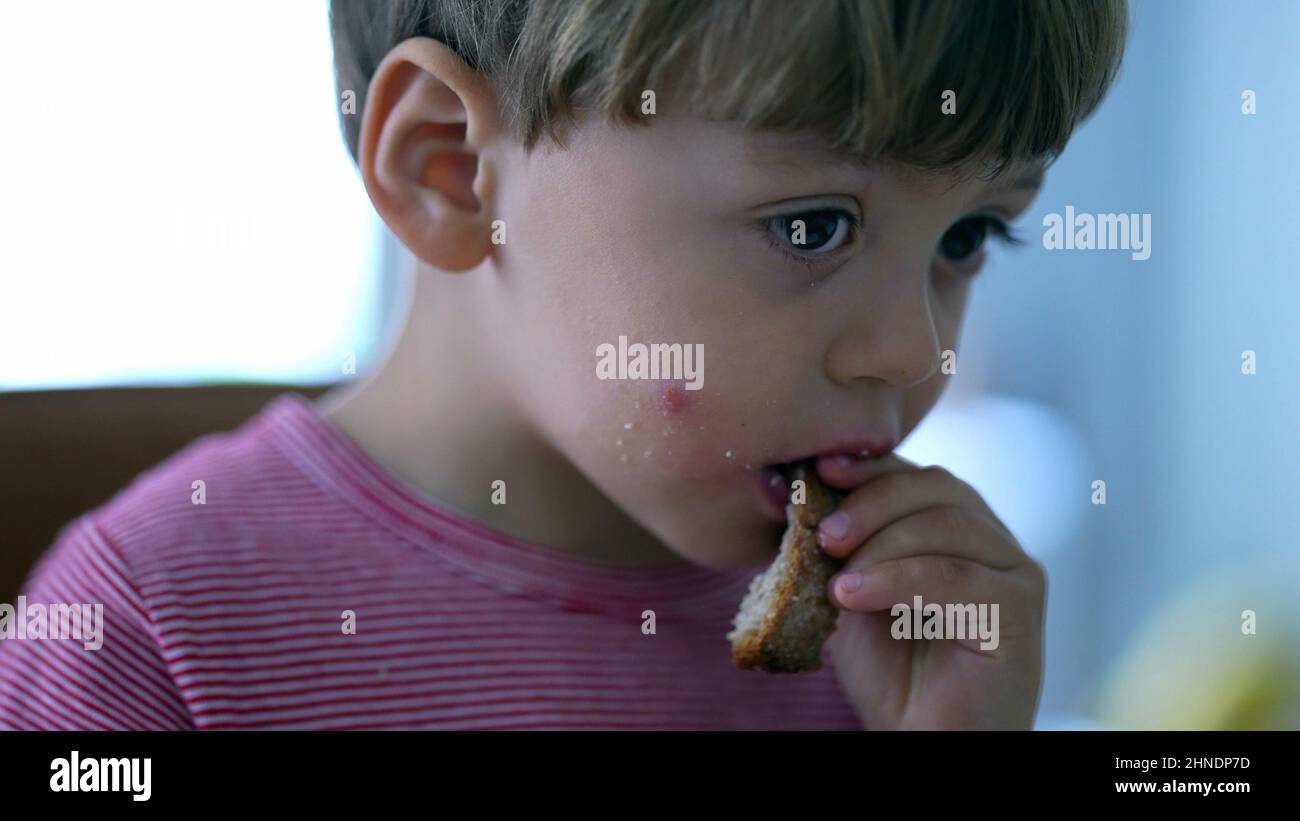 Little boy eating piece of bread child eats carb food Stock Photo - Alamy