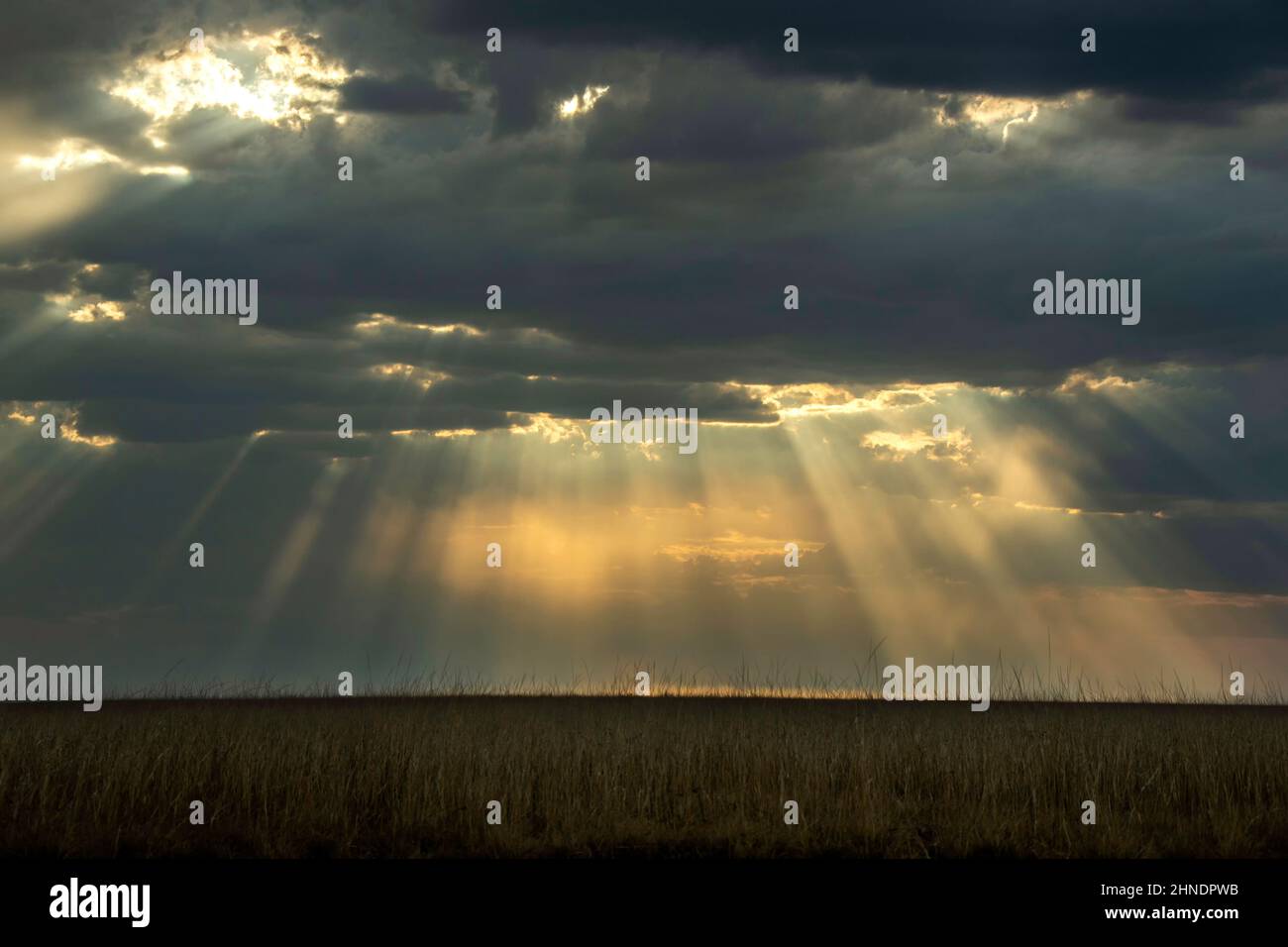 Light rays streaming through clouds hi-res stock photography and images ...