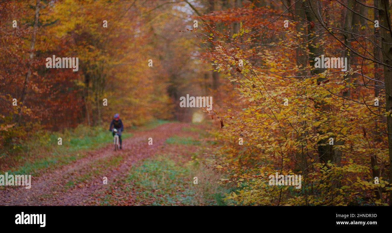 the autumn cyclist Stock Photo - Alamy