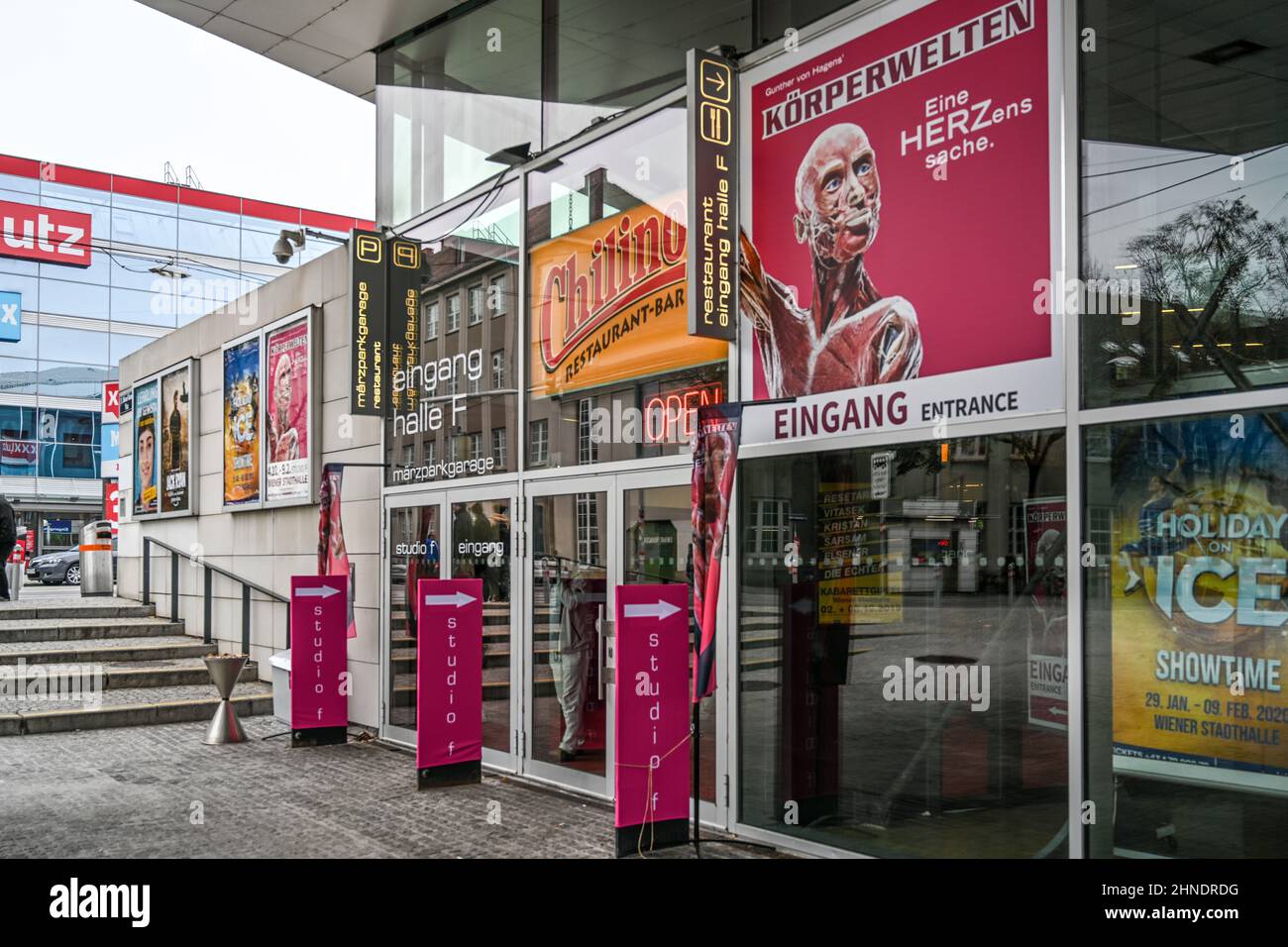 Body worlds Vienna Stock Photo - Alamy