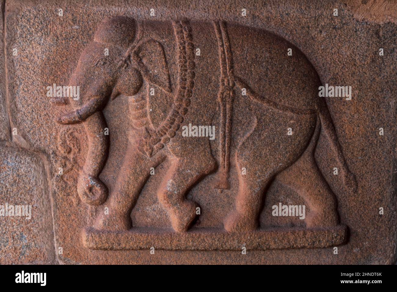 close view of elephant bas relief on Hazaara Rama temple wall, Hampi ...