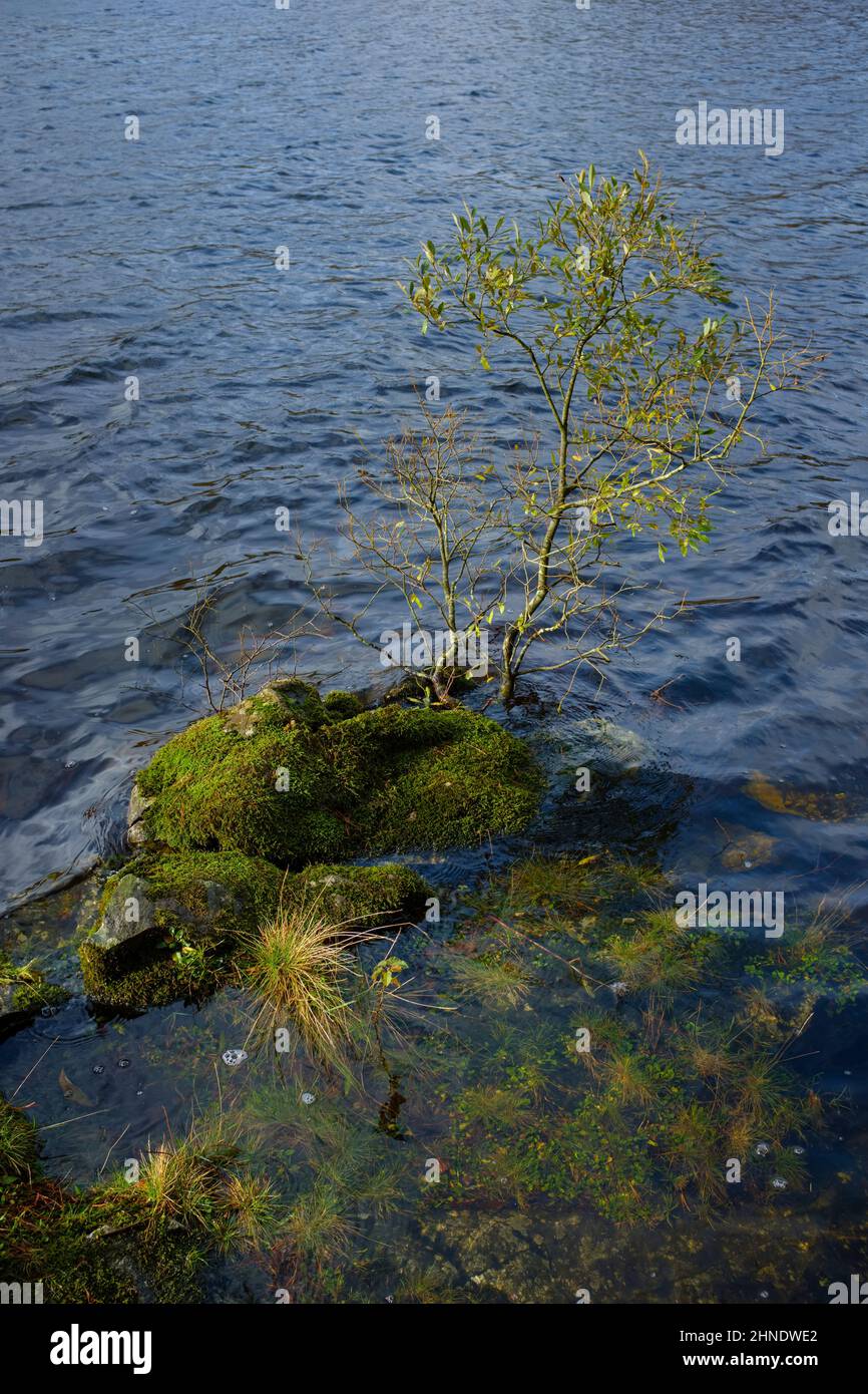 Boulders with moss growing on them hi-res stock photography and images ...