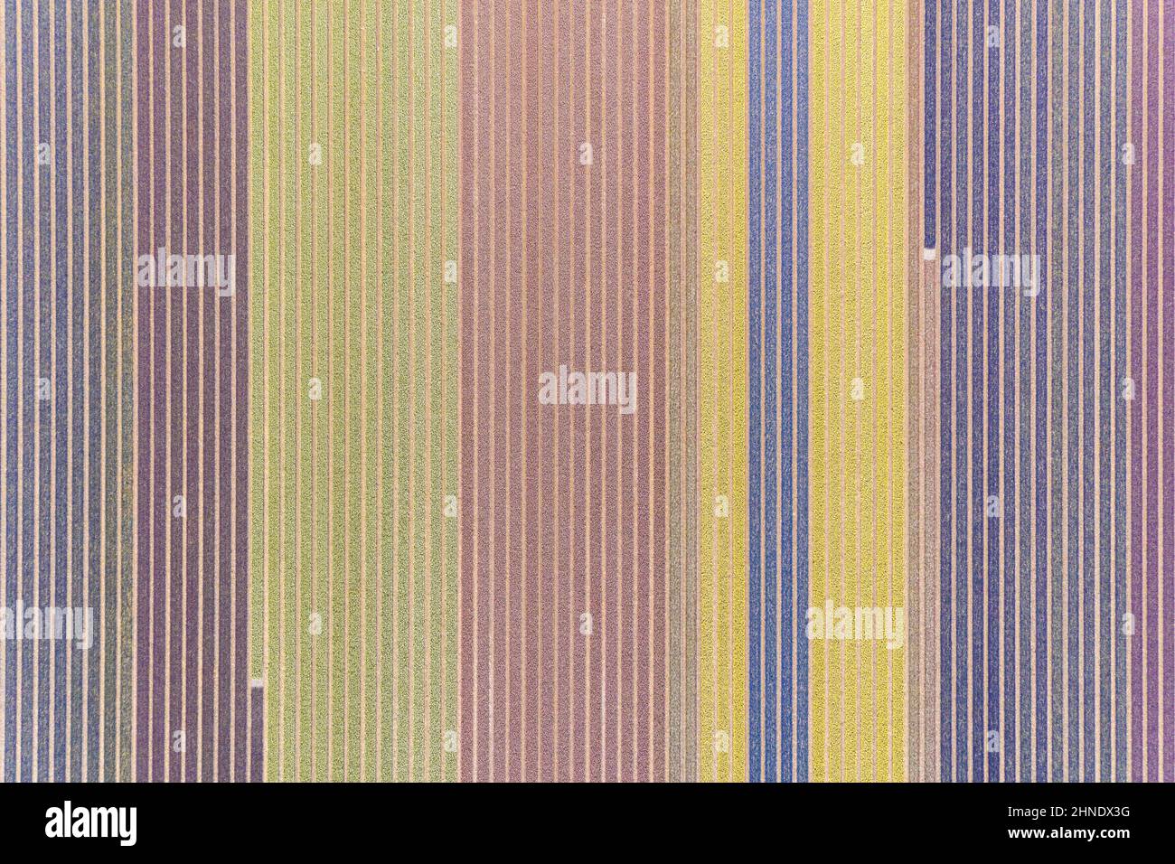 Tulip fields from above, The Netherlands Stock Photo - Alamy