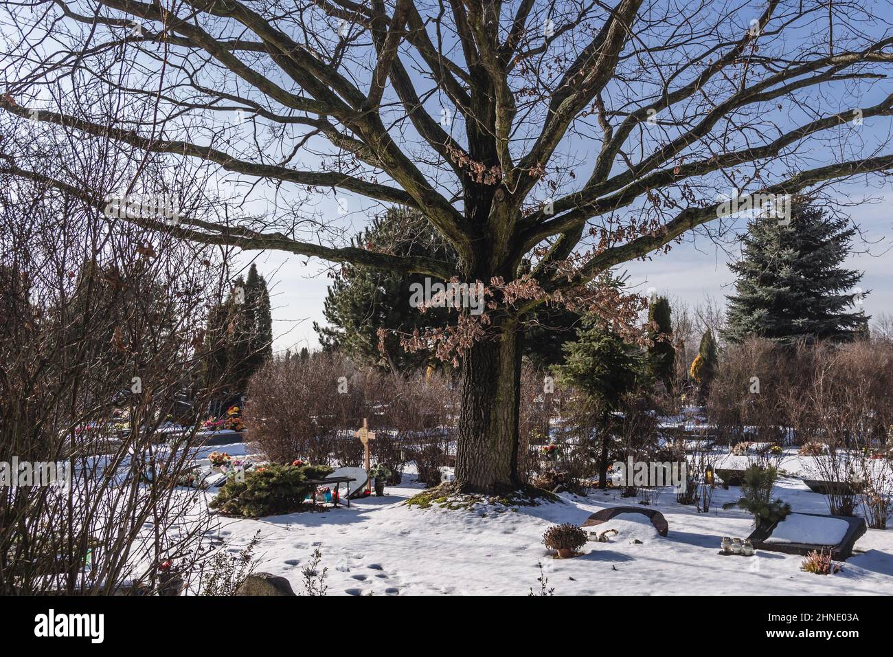 Northern Communal Cemetery in Wolka Weglowa area of Warsaw city, Poland ...