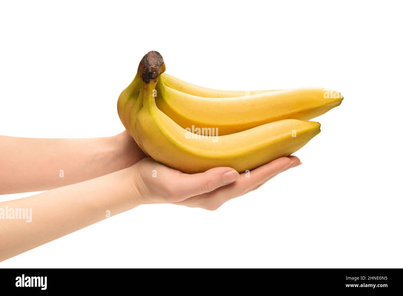 A bunch of bananas in woman hand isolated on a white background Stock ...