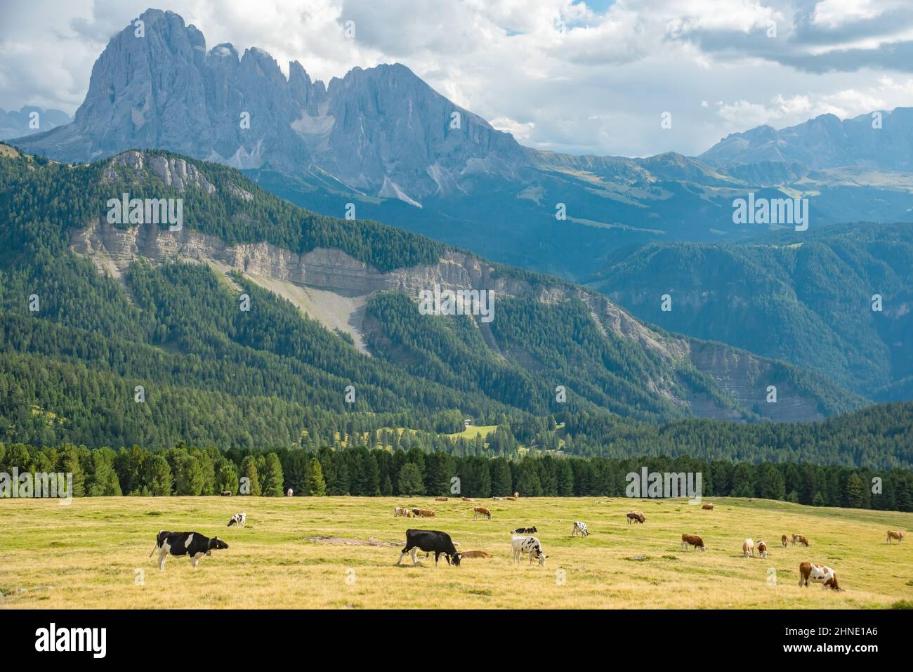 Autumn Geisler or Odle mountain Dolomites Group, Val di Funes Stock ...