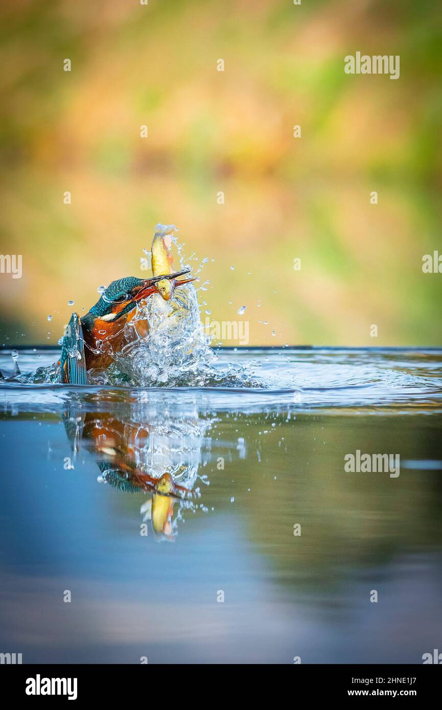 Flying canoe hi-res stock photography and images - Alamy