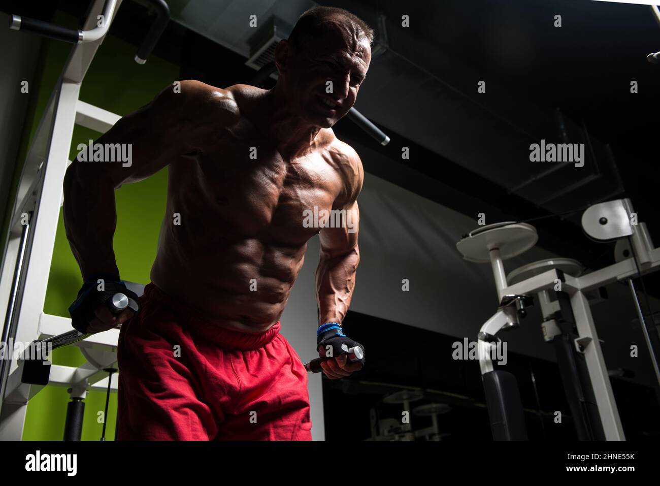 Parallel Bars Exercise For Triceps And Chest Stock Photo - Alamy