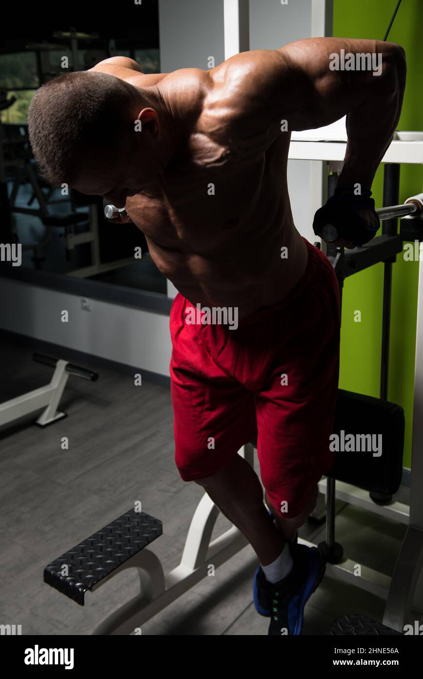 Parallel Bars Exercise For Triceps And Chest Stock Photo - Alamy