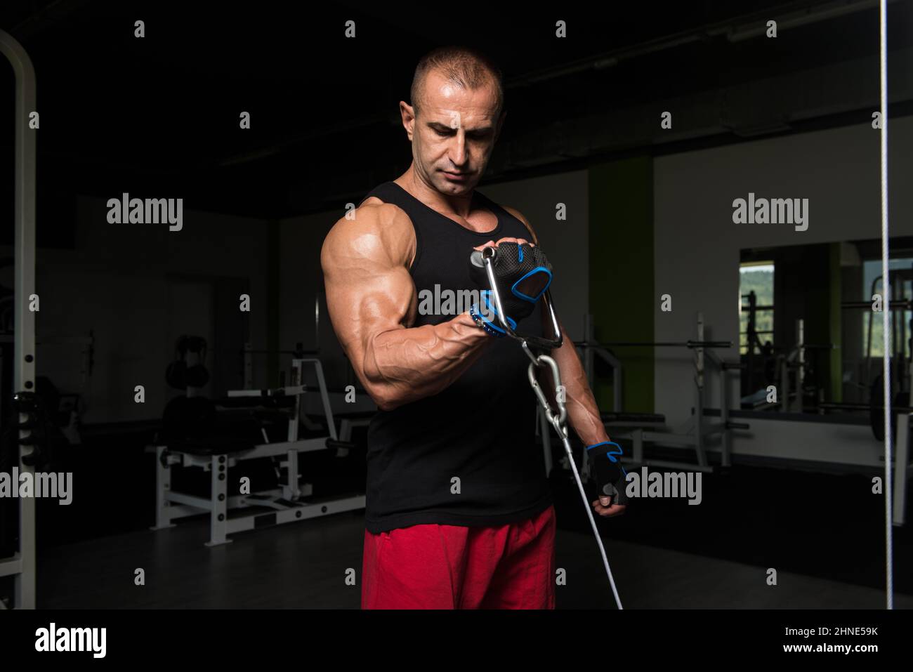 Bodybuilder Exercising Biceps Stock Photo - Alamy