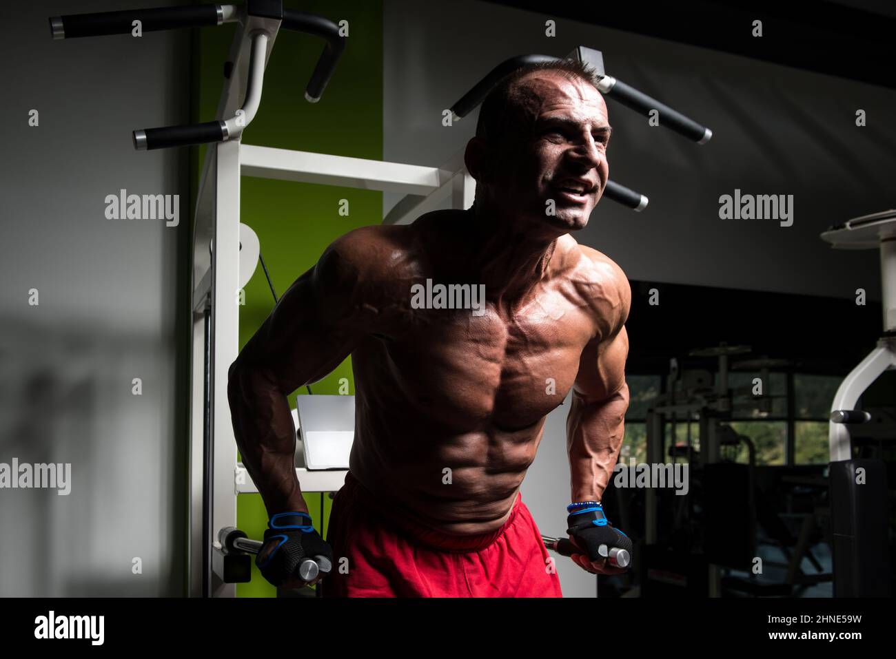 Chest And Triceps Exercise on Parallel Bars Stock Photo - Alamy
