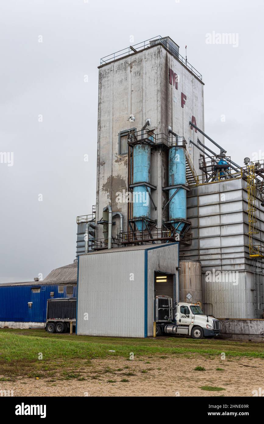 A semi truck parked under a grain elevator in the midwest in the United ...